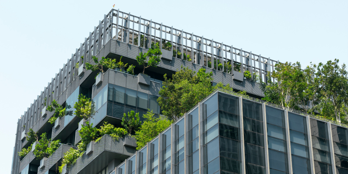 Boston Society for Architecture’s GRIT Team Releases New Green Roof ...